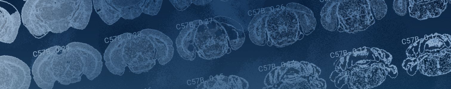 Brain Knowledge Platform