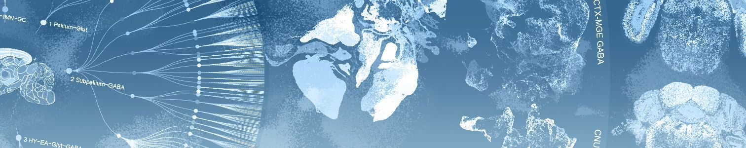 Brain Knowledge Platform