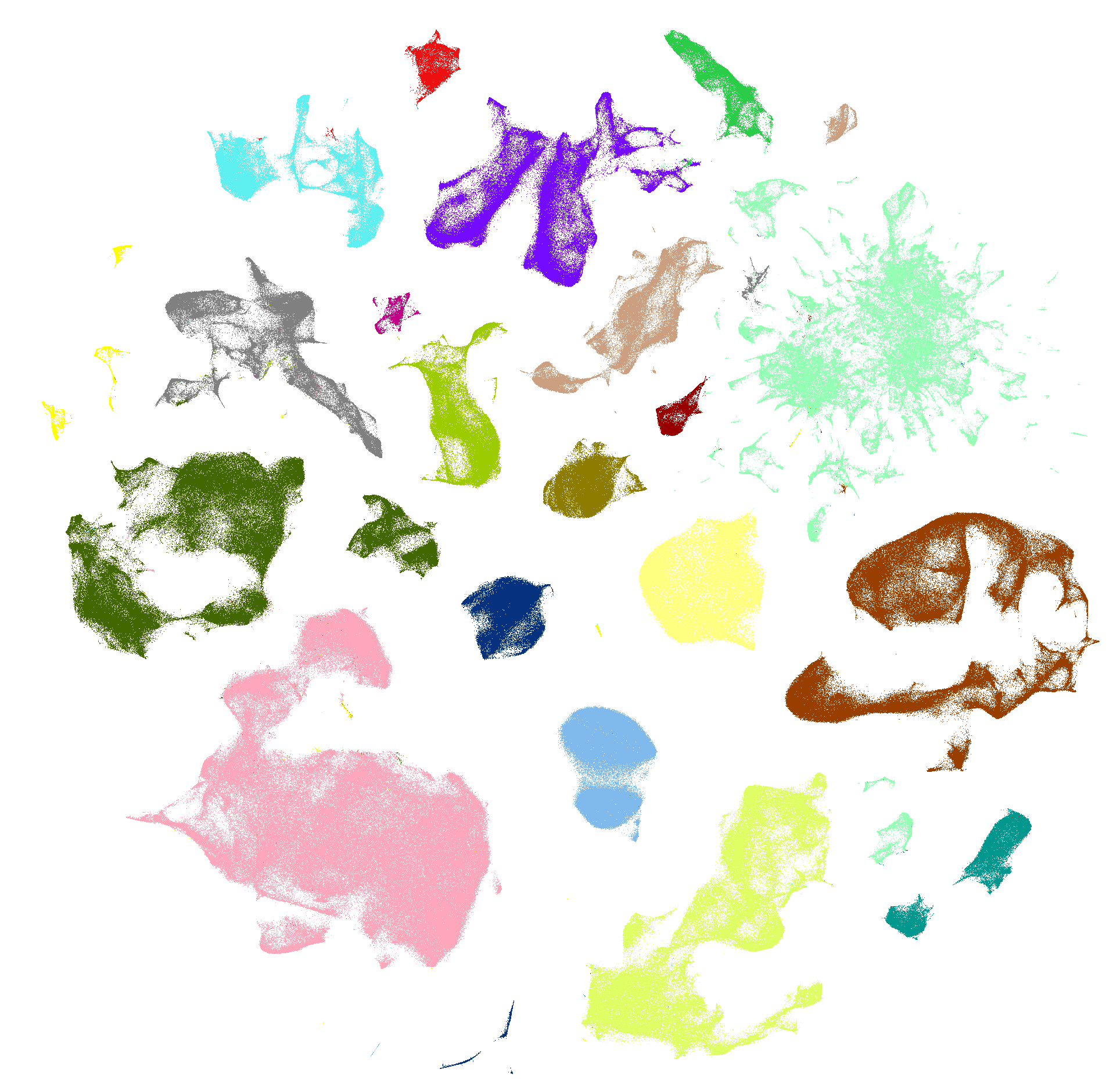 Brain Knowledge Platform